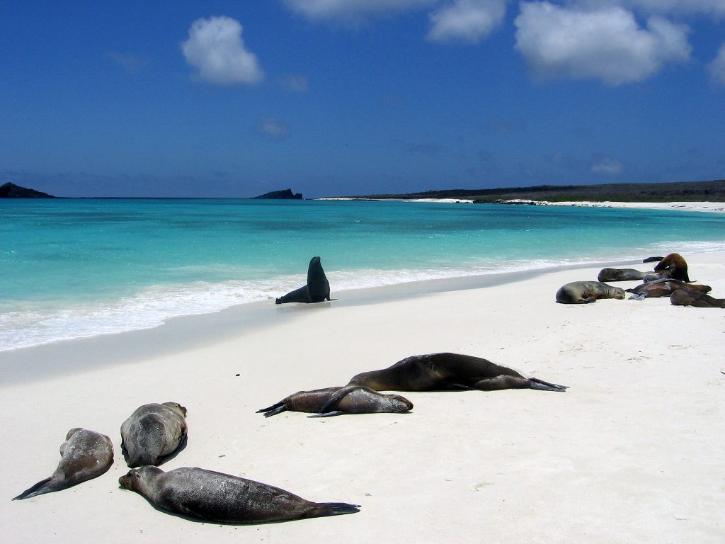 QUASAR Expeditions - Quirky Cruise