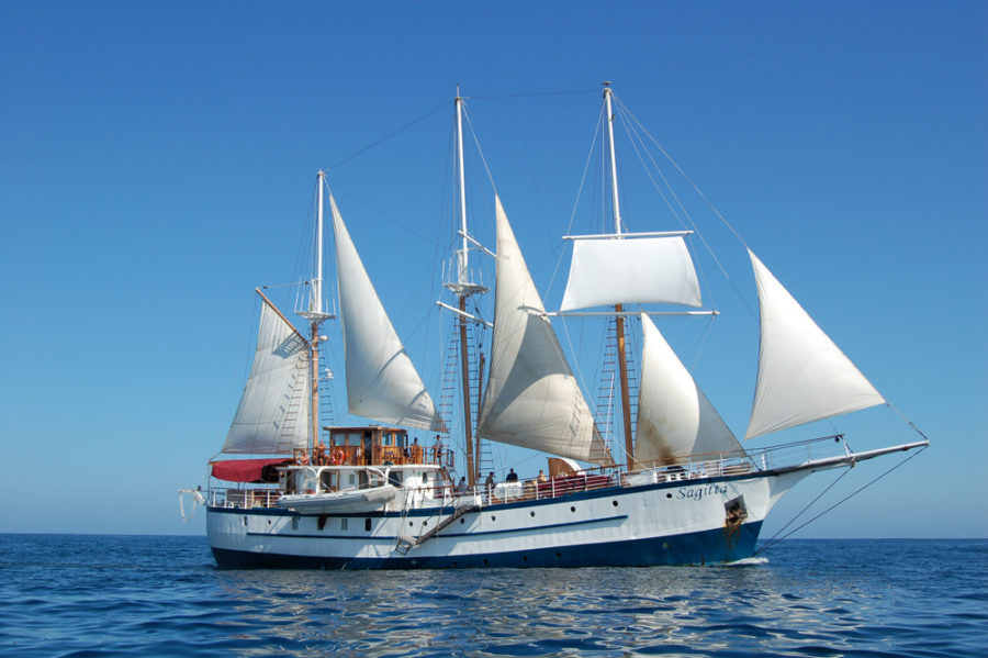 QuirkyCruise Reader Review: SAGITTA In The Caribbean (Island ...