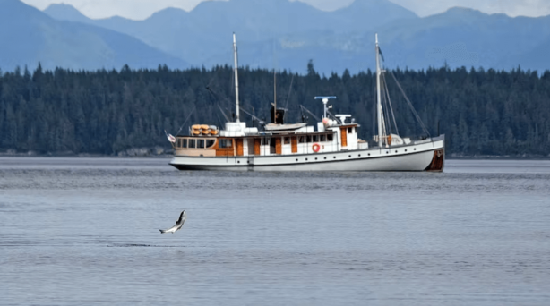 7 Alaska Small Ship Cruises To Consider